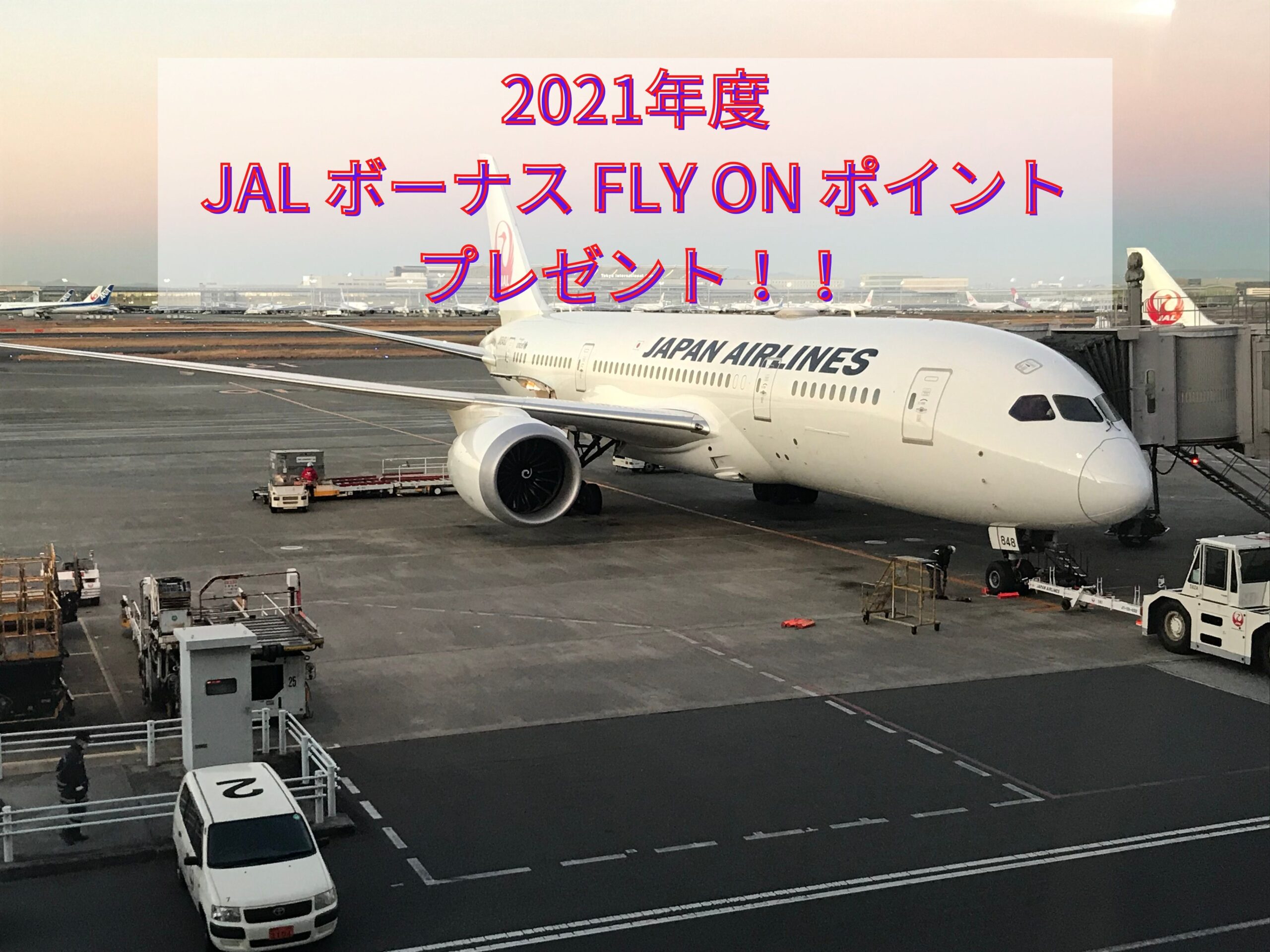 【JAL】JAL 2021年度ステイタス会員にボーナスFLY ON ポイントが加算 最大40,000 FLY ON ポイント ...