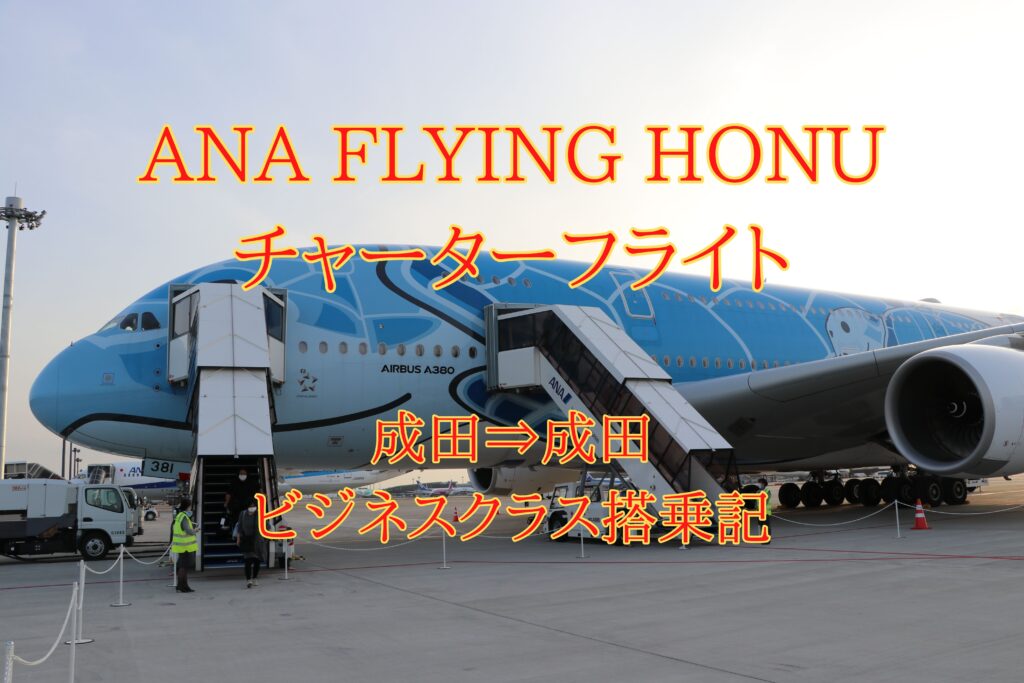 【ANA エアバスA380】成田発着 ハワイに行かない FLYING HONUチャーターフライト（ビジネスクラス） - tomotabitrip